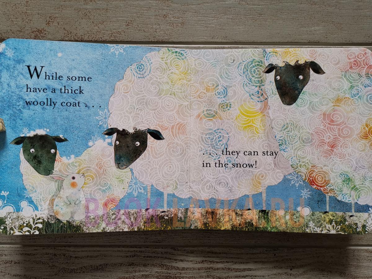 Snow Rabbit, Spring Rabbit: A Book of Changing Seasons – купить в ...