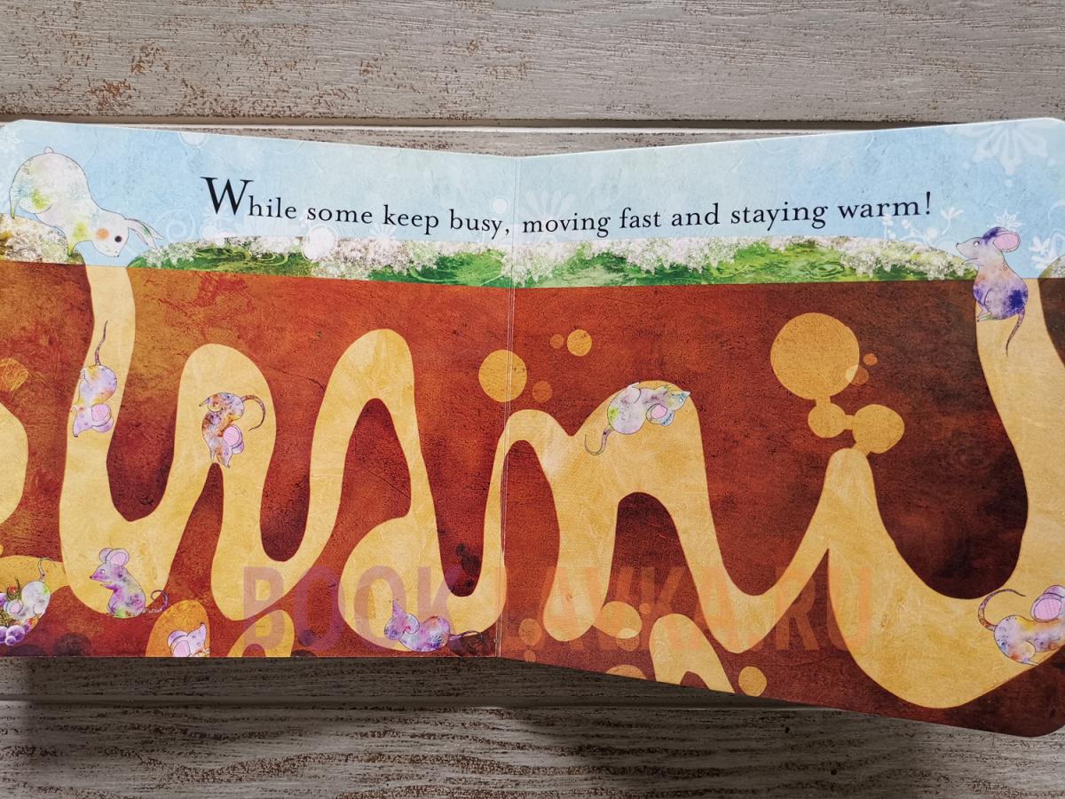 Snow Rabbit, Spring Rabbit: A Book of Changing Seasons | Booklavka ...