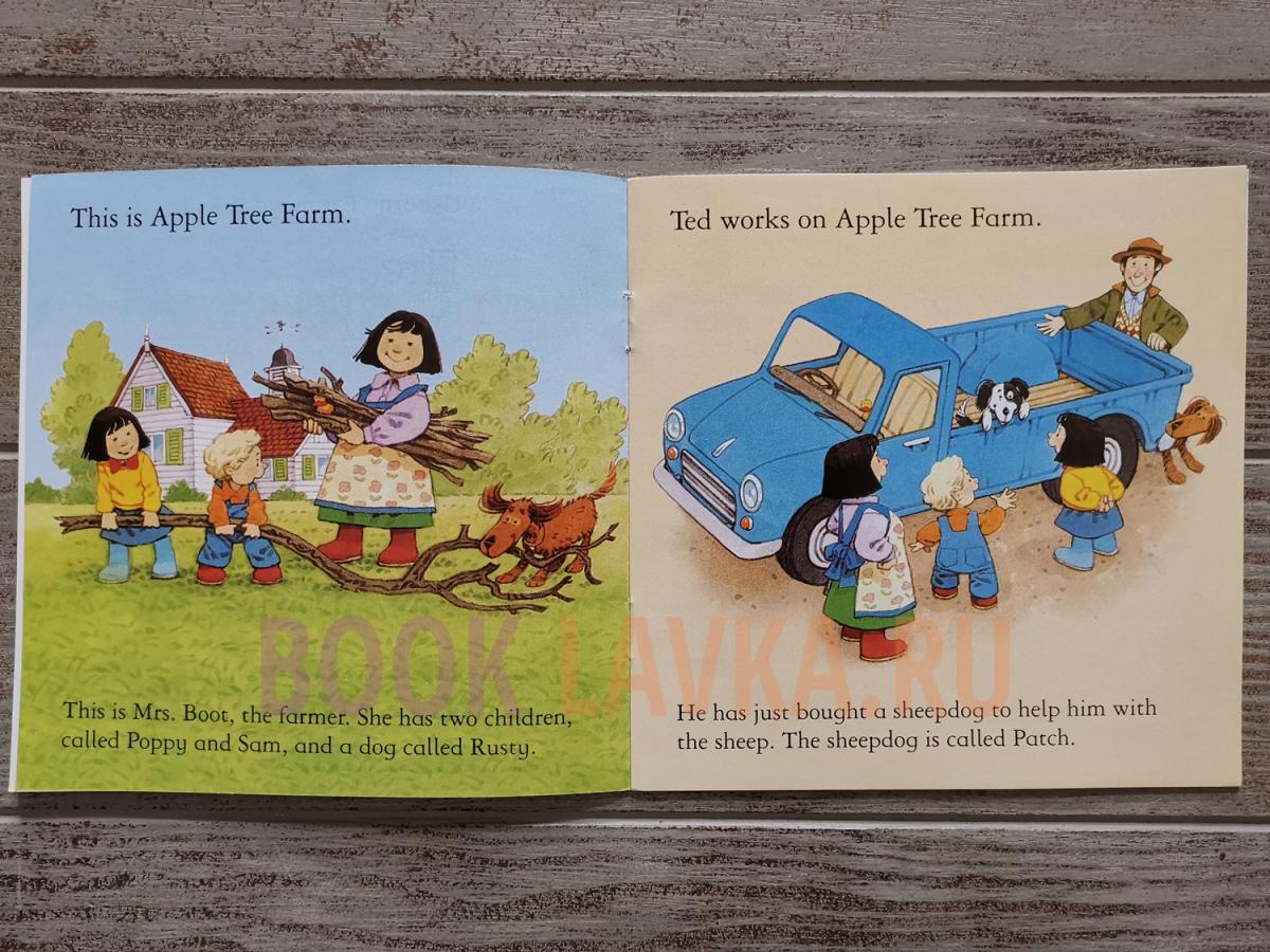 Usborne Farmyard Tales: The Silly Sheepdog – купить в интернет-магазине ...