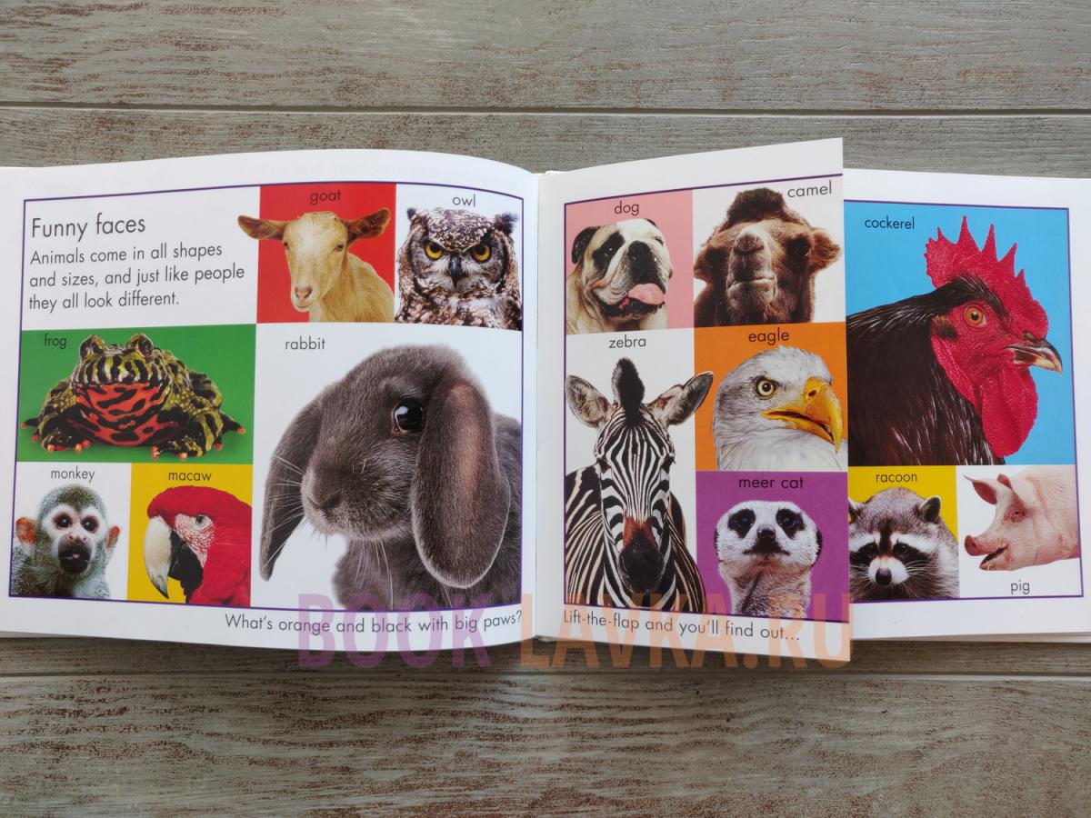 Baby Soft to Touch Animals – купить в интернет-магазине Booklavka ...