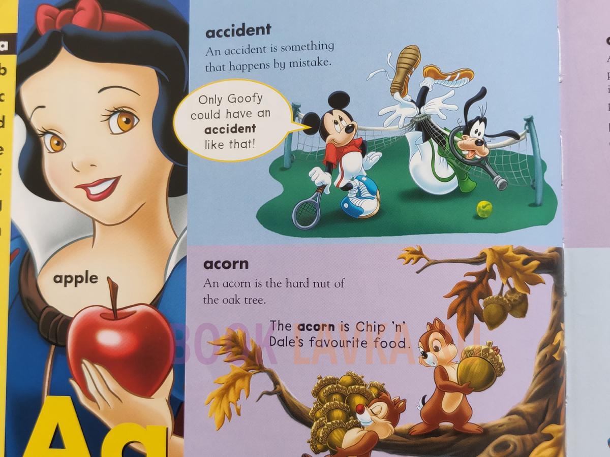 Disney Picture Dictionary – купить в интернет-магазине Booklavka (Буклавка)