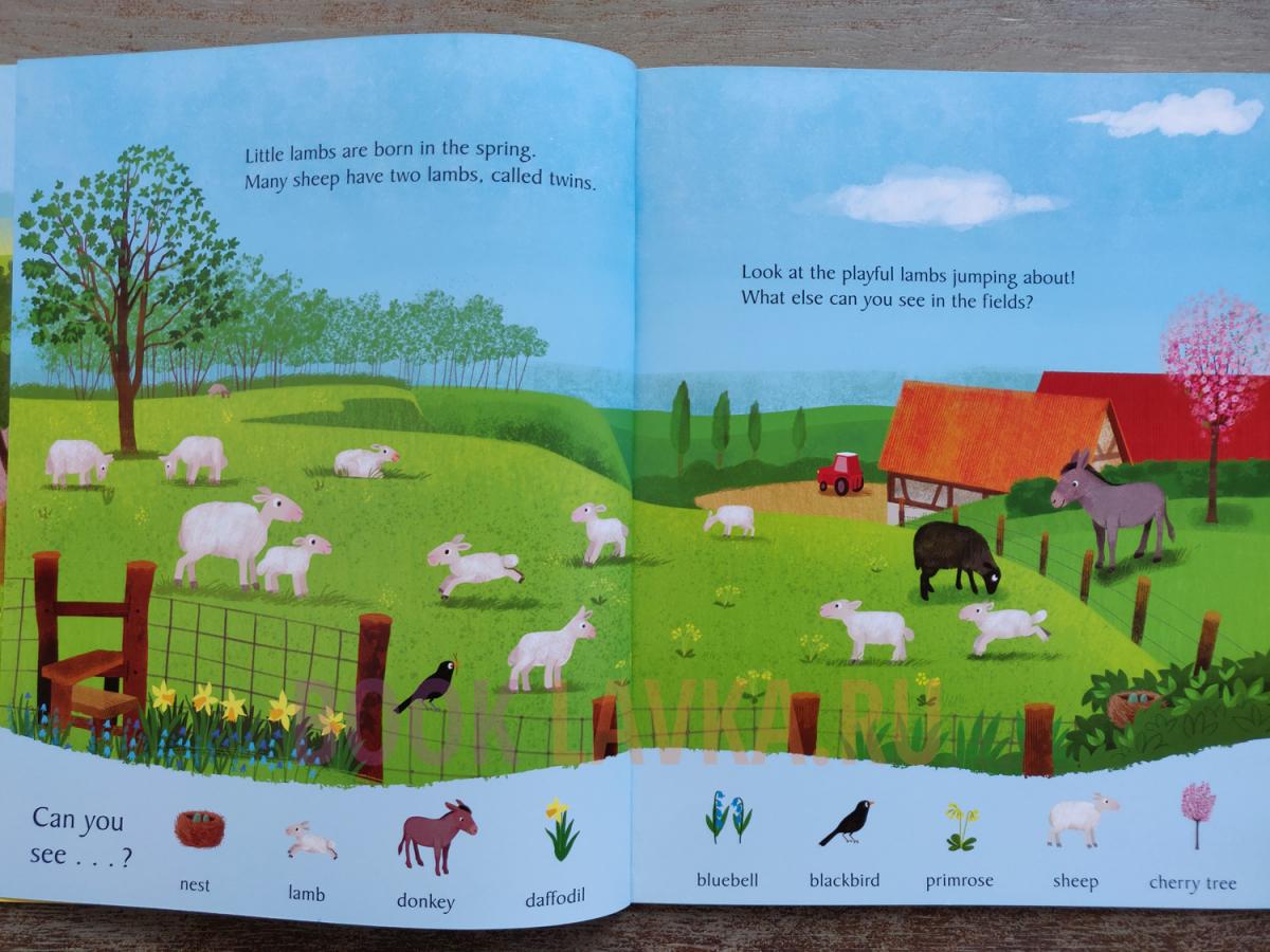 Look and Say What You See on the Farm – купить в интернет-магазине ...