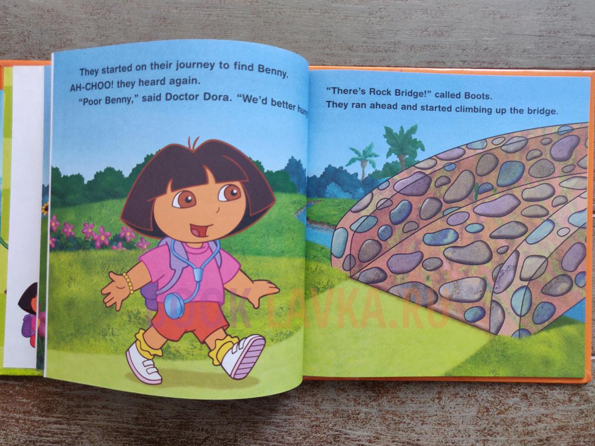 Dora the Explorer Doctor Dora – купить в интернет-магазине Booklavka ...
