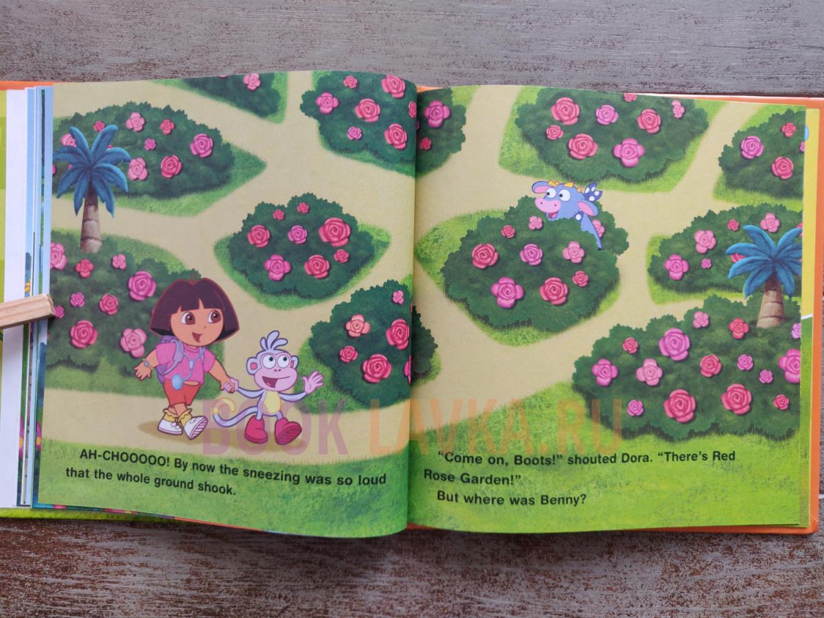 Dora the Explorer Doctor Dora – купить в интернет-магазине Booklavka ...