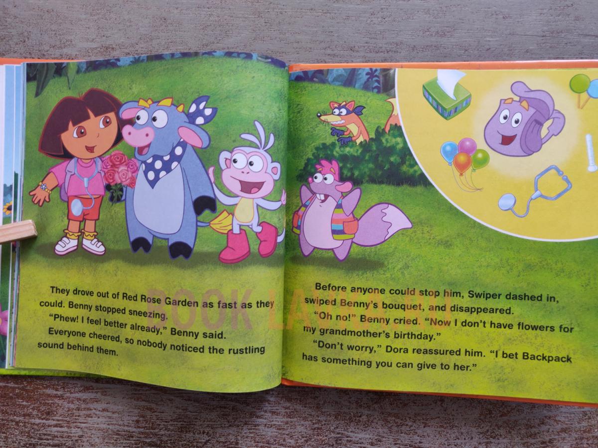 Dora the Explorer Doctor Dora – купить в интернет-магазине Booklavka ...