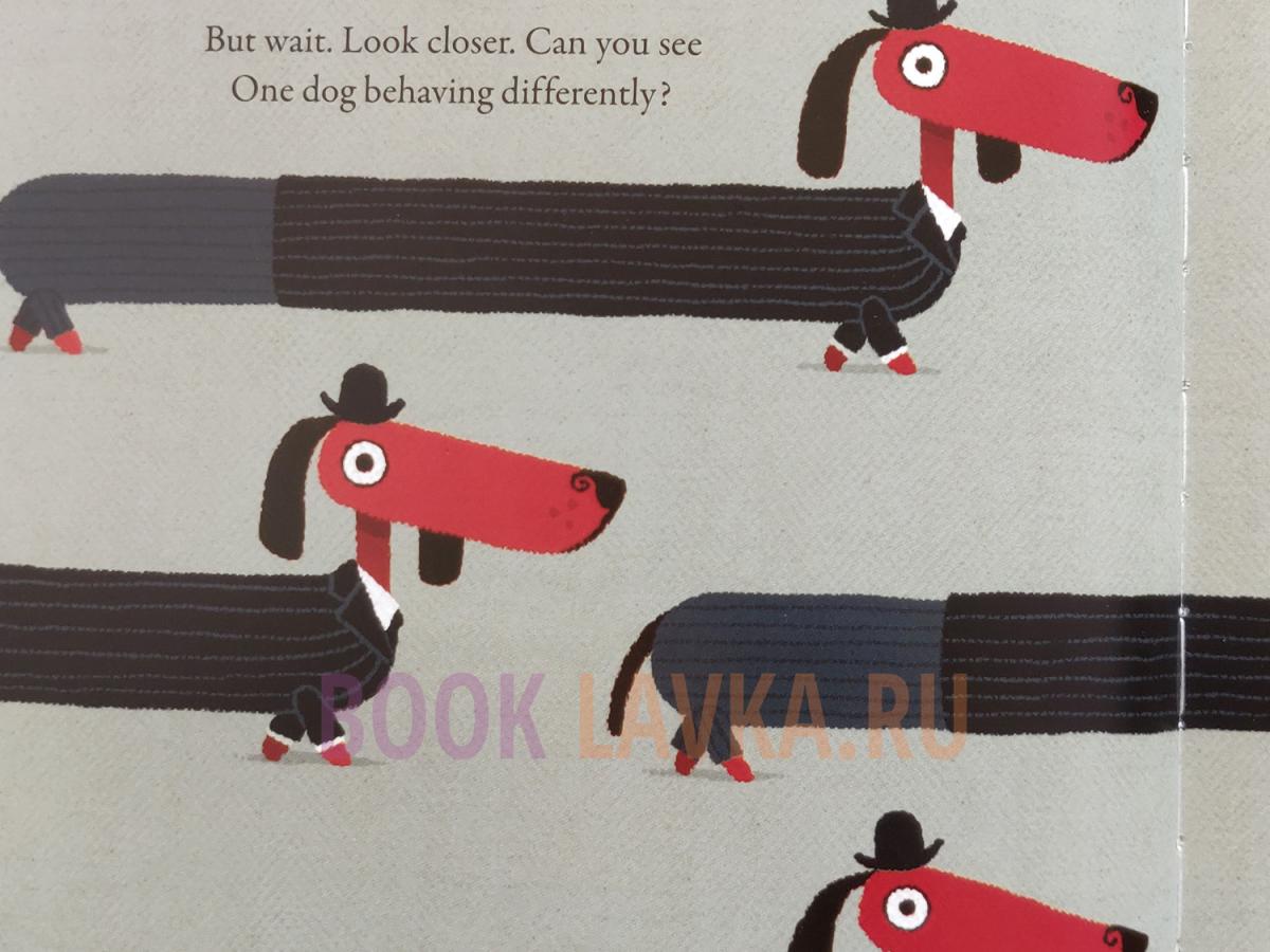 Odd Dog Out – купить в интернет-магазине Booklavka (Буклавка)