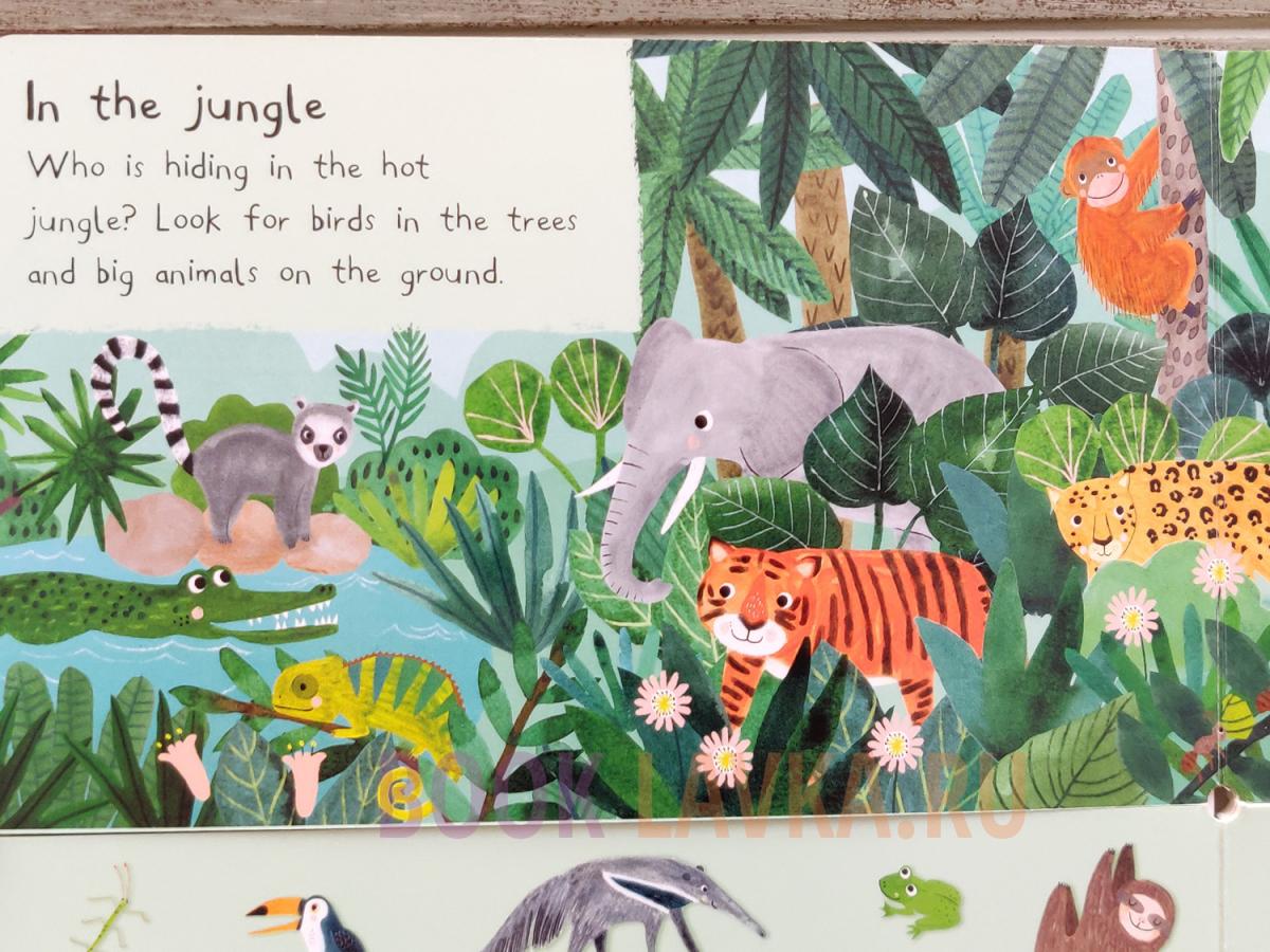 There are 101 Animals in this Book – купить в интернет-магазине Booklavka (Буклавка)