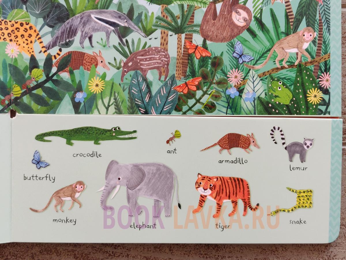 There are 101 Animals in this Book – купить в интернет-магазине Booklavka (Буклавка)
