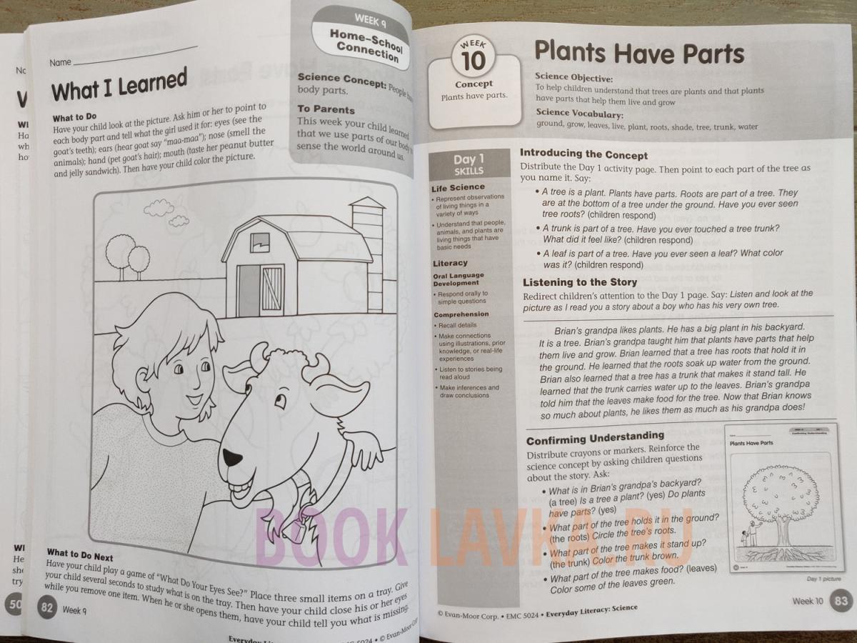 Everyday Literacy Science Grade Pre-K – купить в интернет-магазине ...