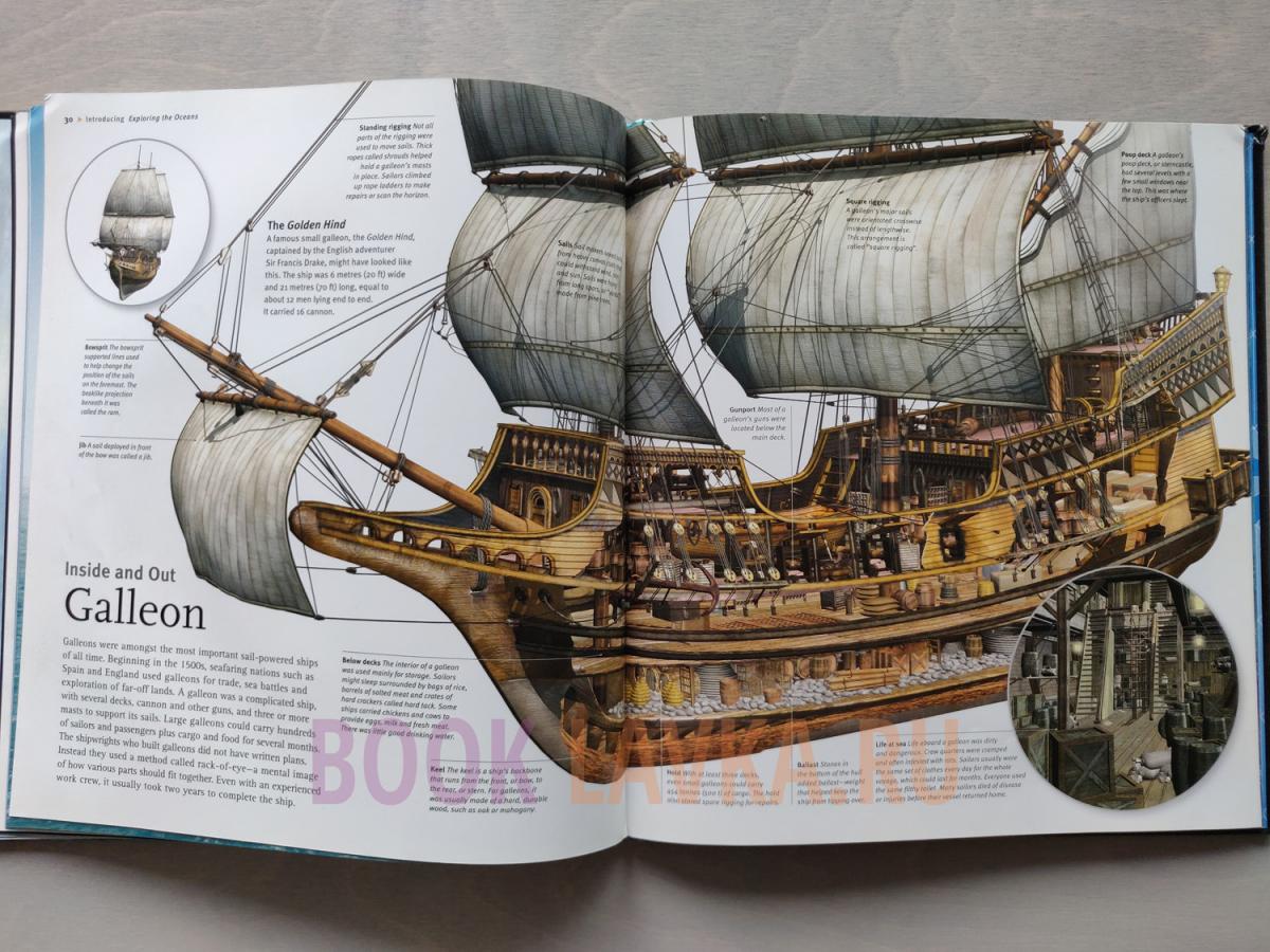 Insiders: Oceans – купить в интернет-магазине Booklavka (Буклавка)