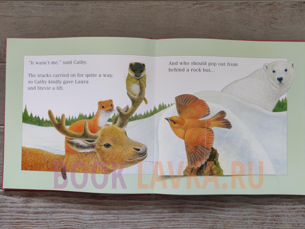 Polly Polar Bear: An Interactive Pop-up Book – купить в интернет ...