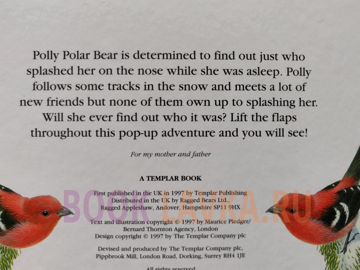 Polly Polar Bear: An Interactive Pop-up Book – купить в интернет ...
