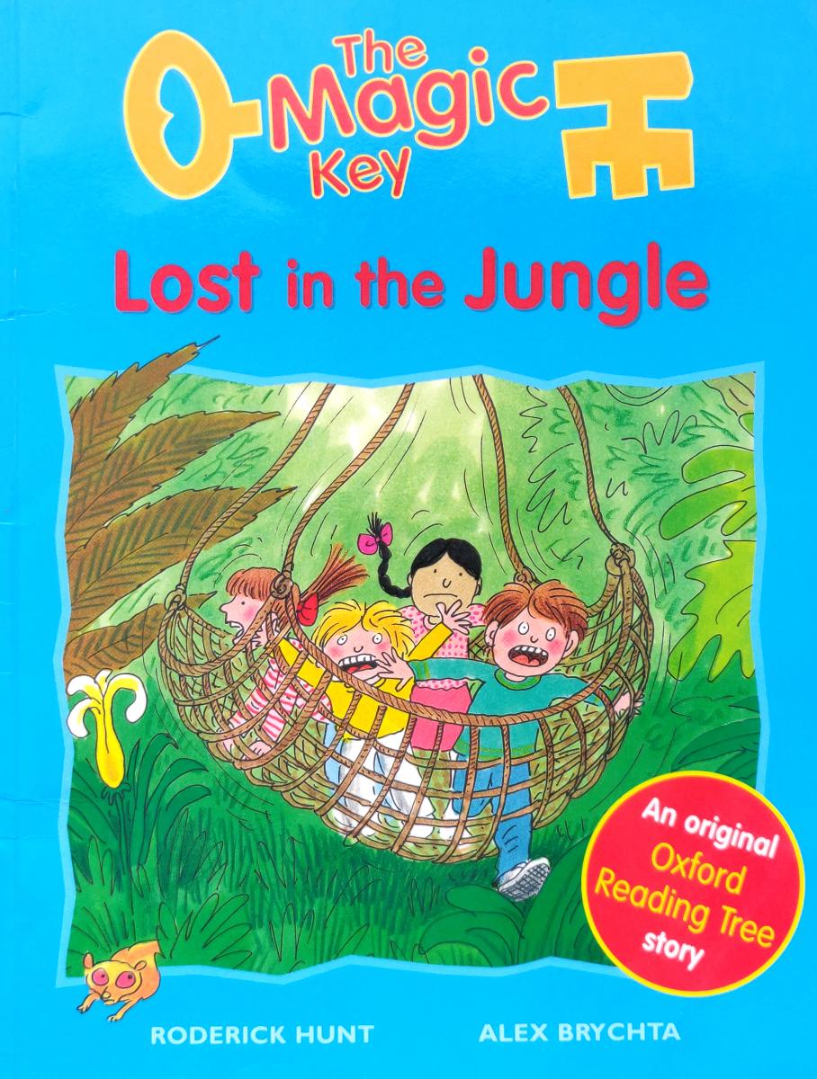 Oxford Reading Tree: Stages 6-7: Storybooks (Magic Key): Lost in the ...