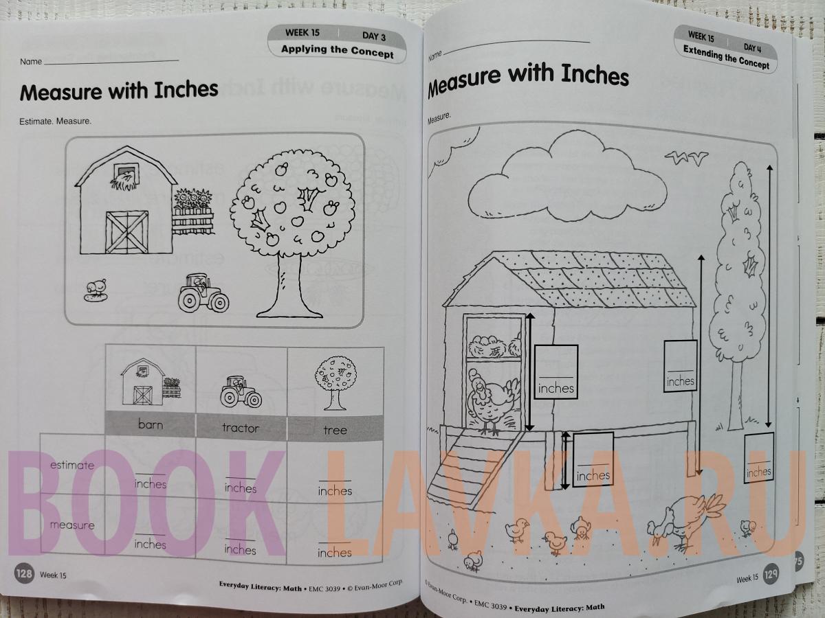 Everyday Literacy Math Grade 1 – купить в интернет-магазине Booklavka ...
