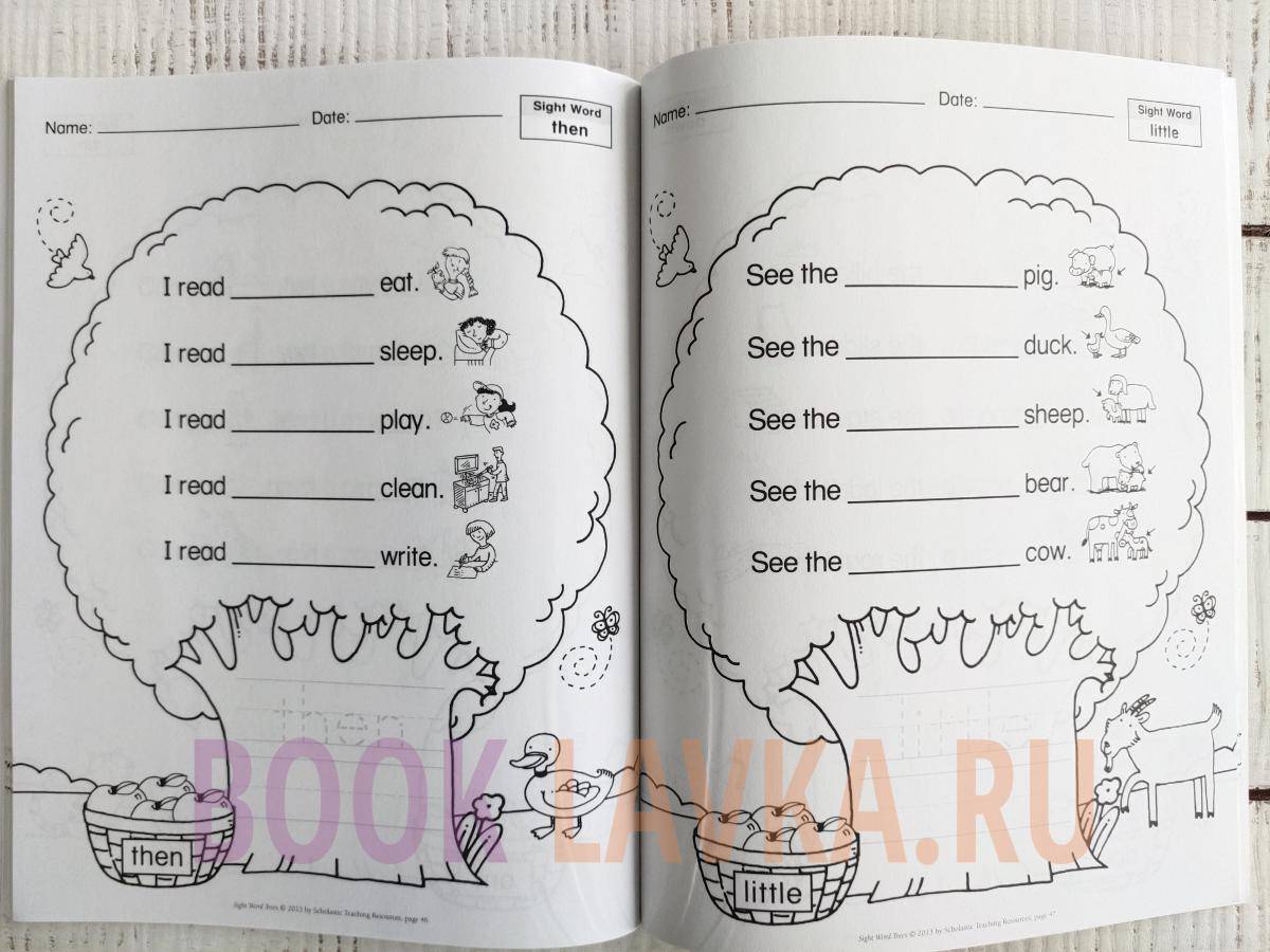 Sight Word Trees, Grades K-2 – купить в интернет-магазине Booklavka ...