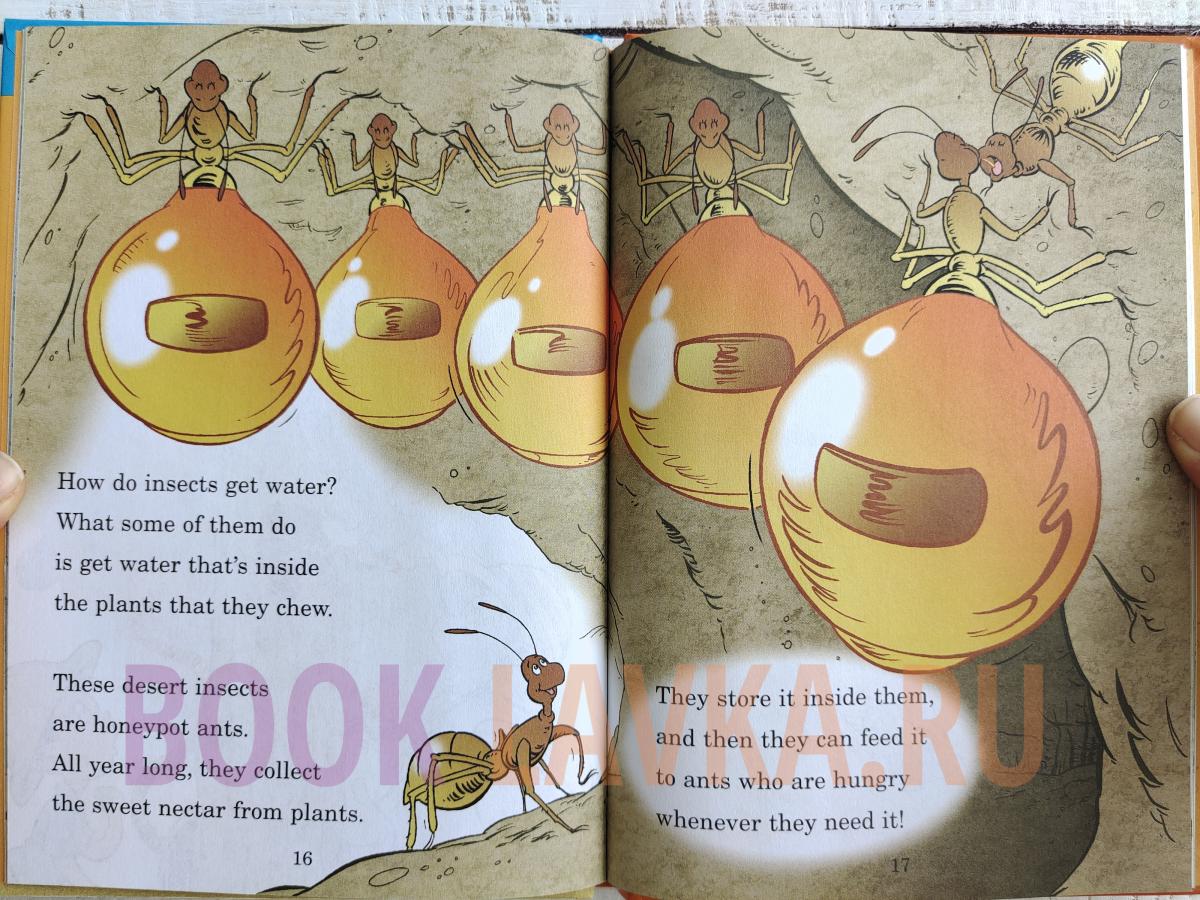 Why Oh Why are Deserts Dry? All About Deserts – купить в интернет ...