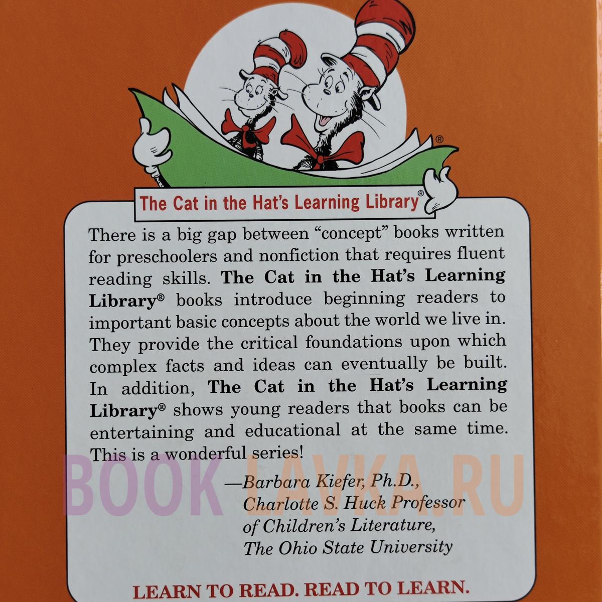 Why Oh Why are Deserts Dry? All About Deserts – купить в интернет ...