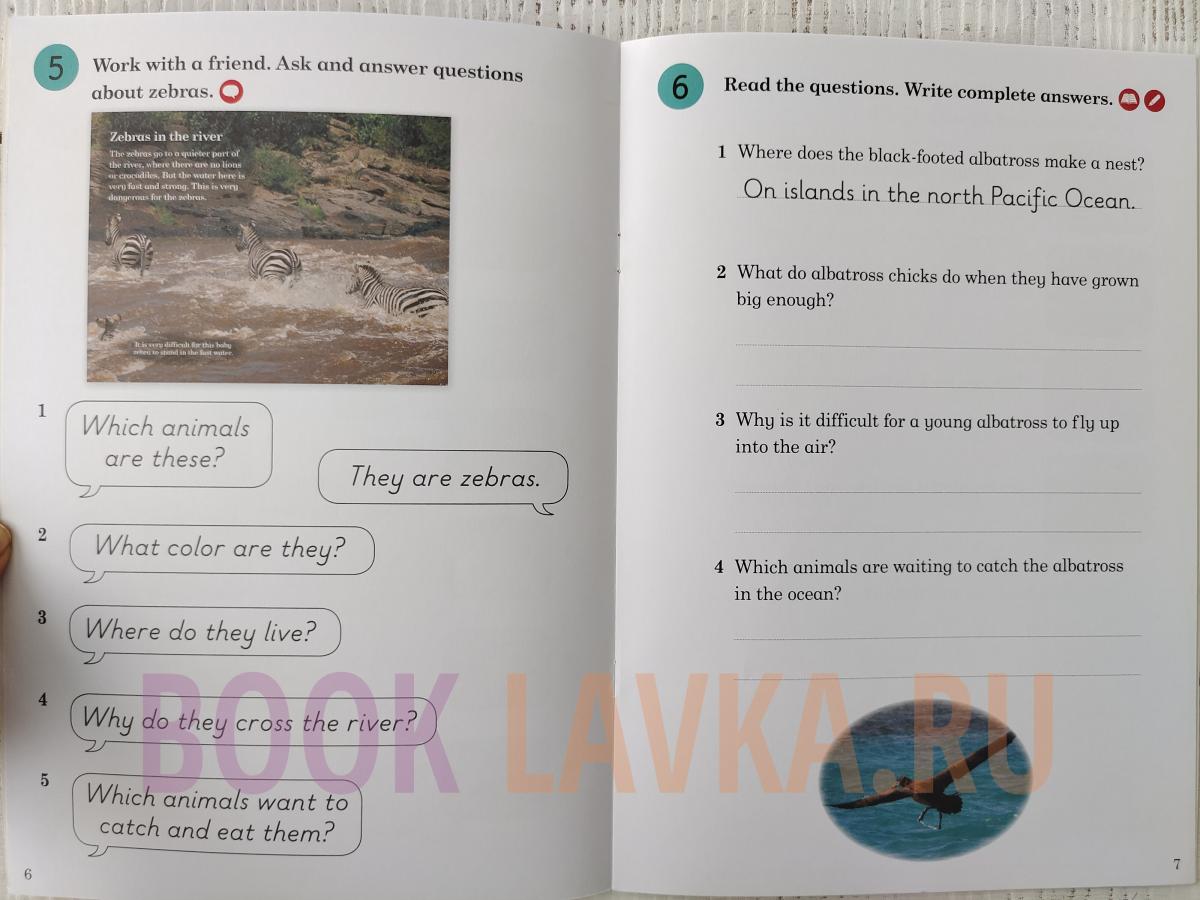 BBC Earth: Dangerous Journeys Activity Book - Ladybird Readers Level 4 ...