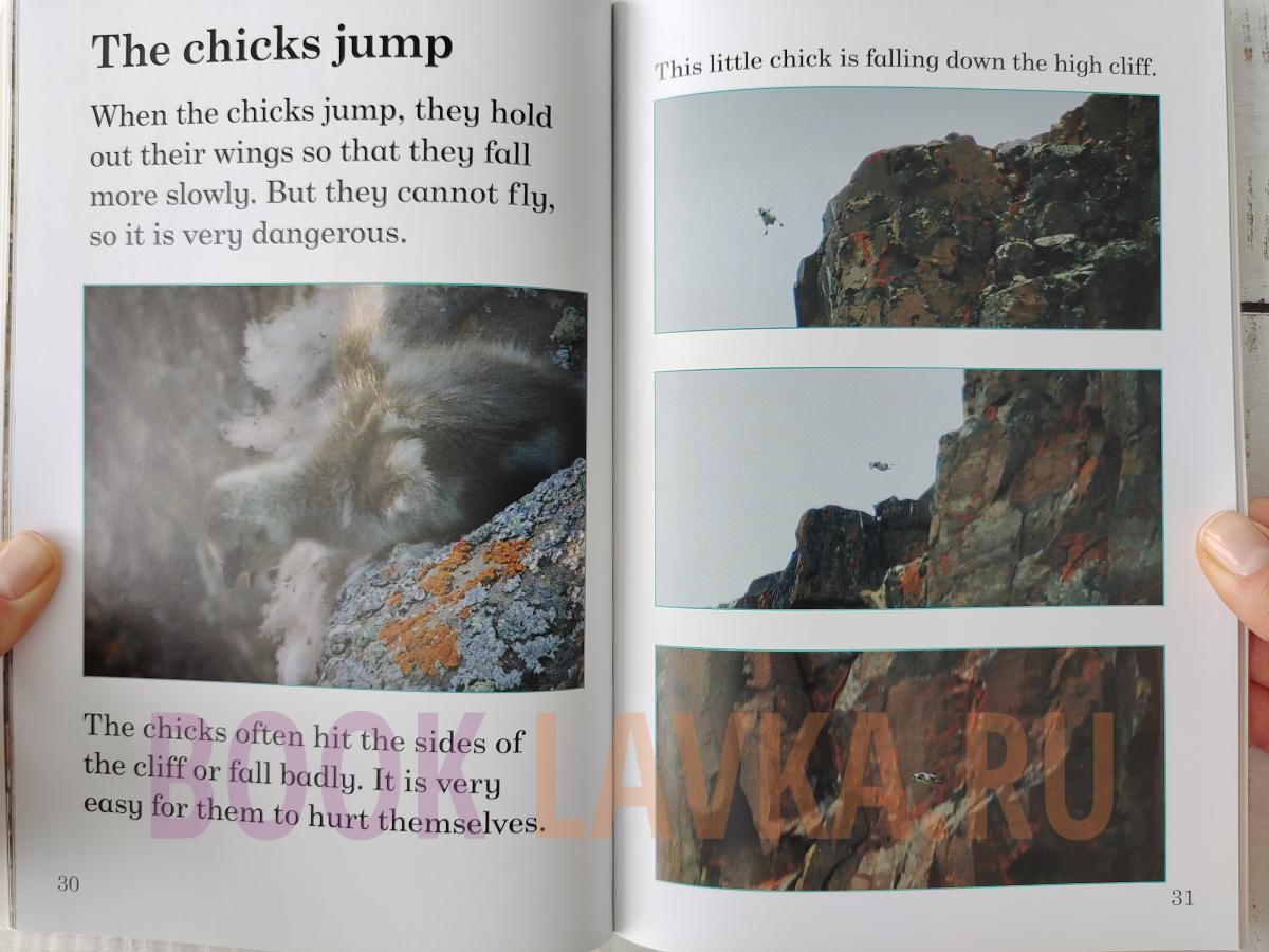 BBC Earth: Dangerous Journeys - Ladybird Readers Level 4 – купить в ...