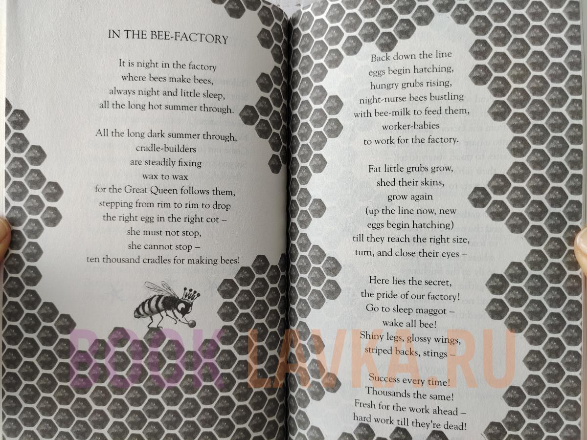 101 Poems for Children Chosen by Carol Ann Duffy: A Laureate's Choice ...