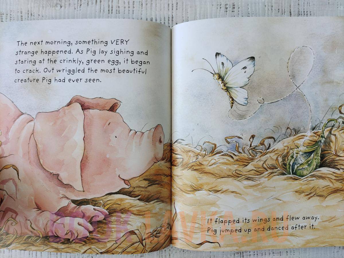Pig's Egg | Booklavka (Буклавка)