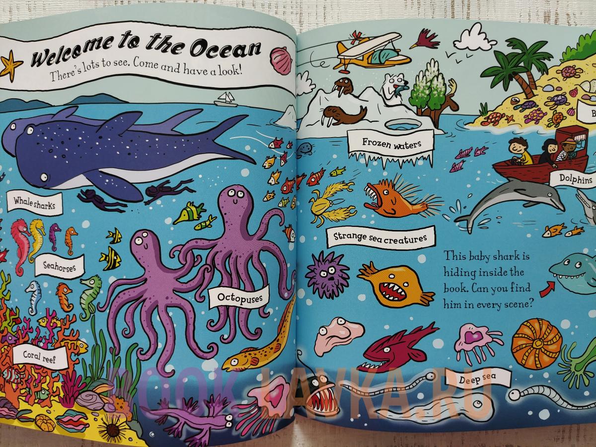 Spot The Series 10 Picture Books Collection Set (UK) – купить в ...