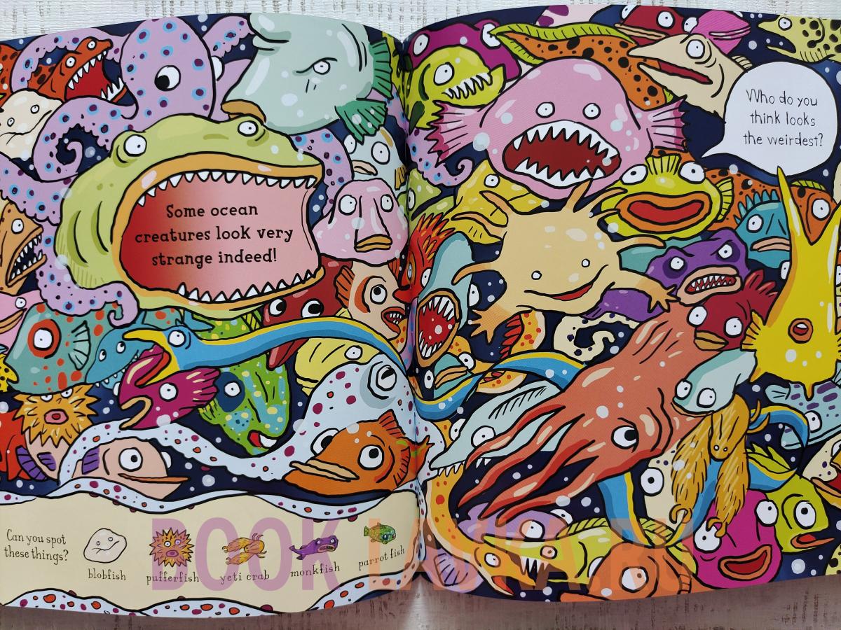Spot The Series 10 Picture Books Collection Set (UK) – купить в ...