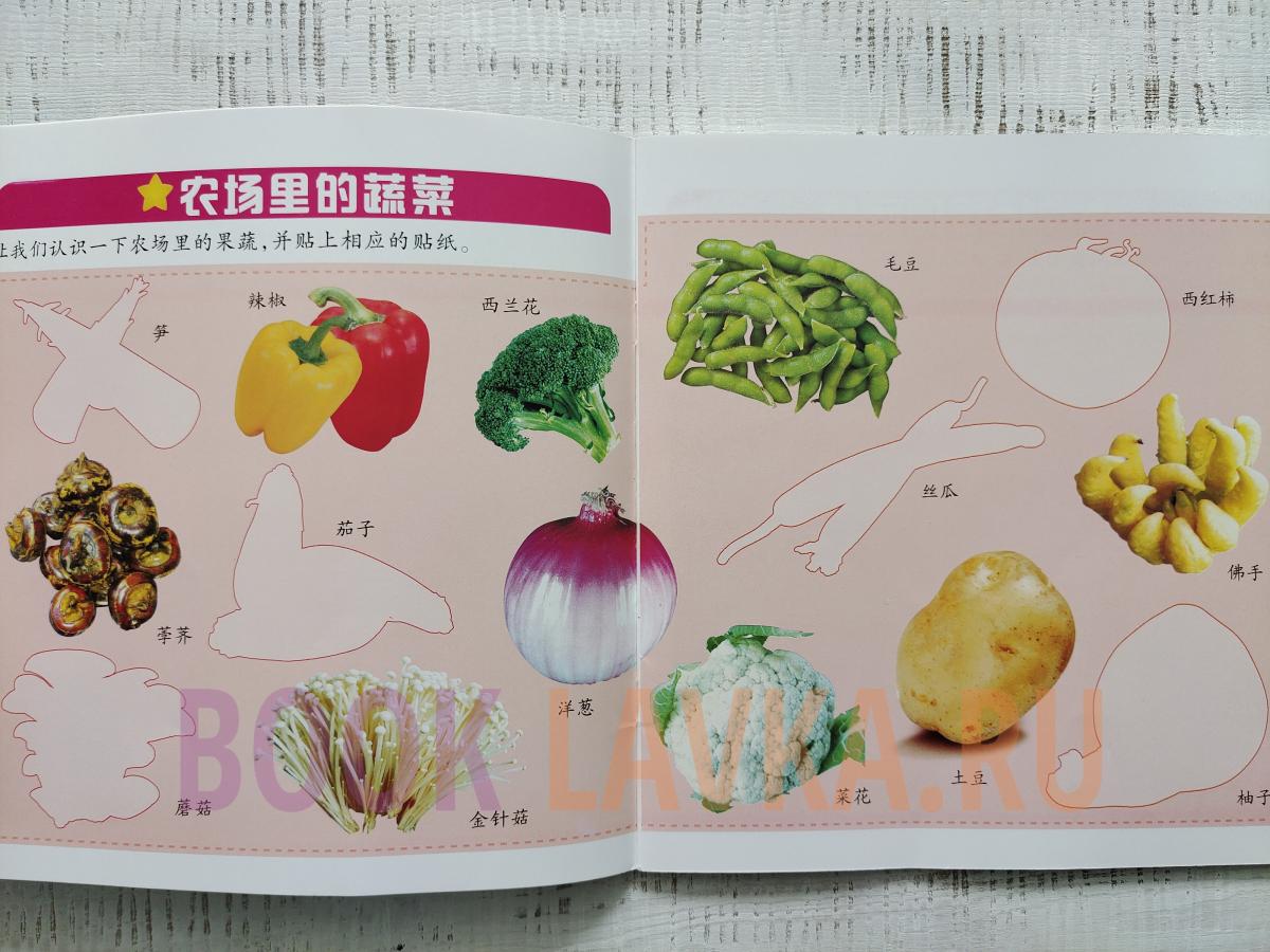 Chinese book – купить в интернет-магазине Booklavka (Буклавка)