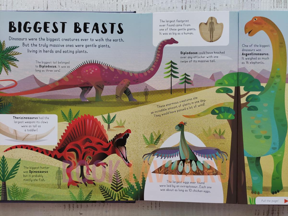 Dinosaurs: Explore, Discover, Learn – купить в интернет-магазине ...