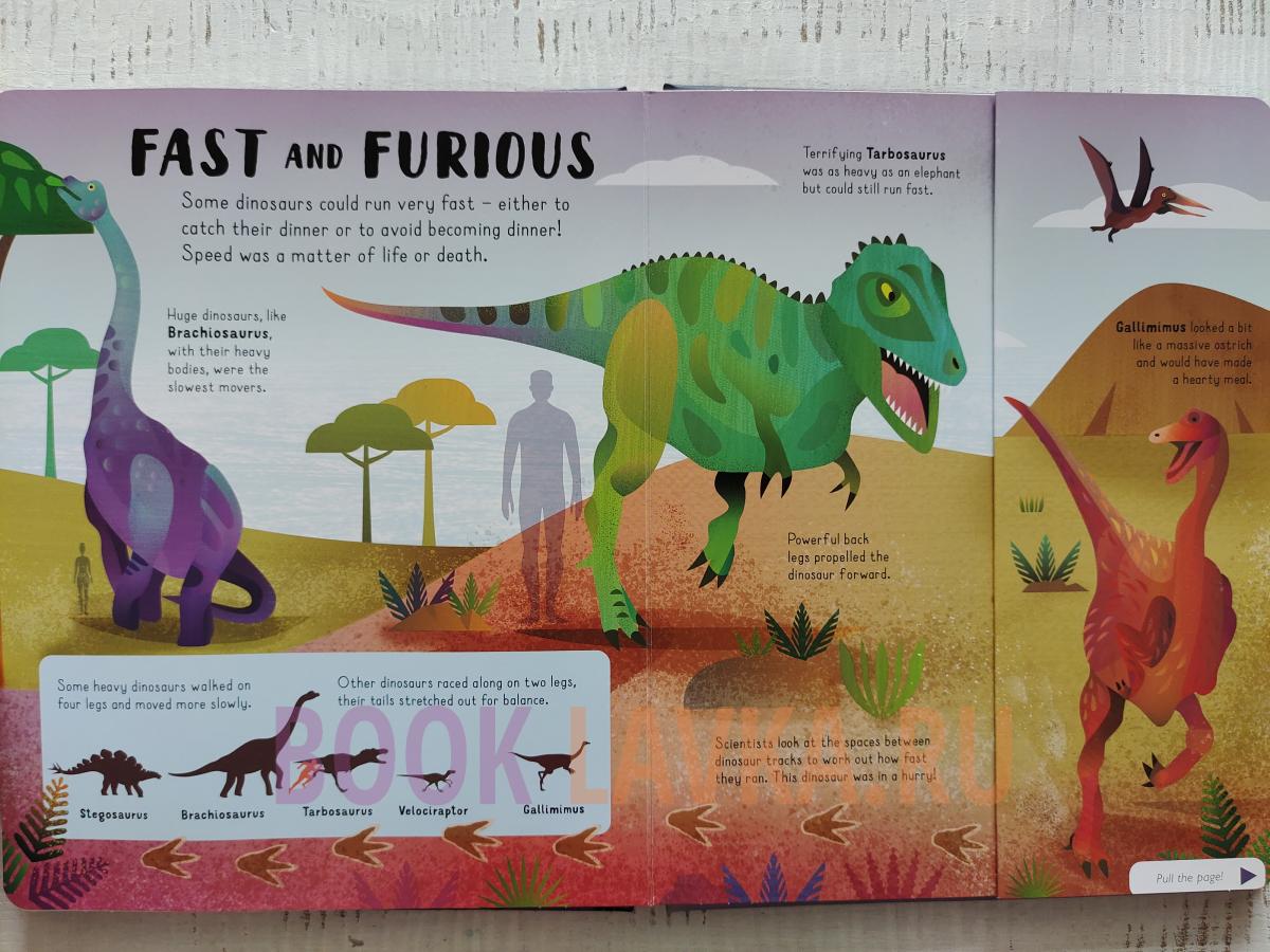 Dinosaurs: Explore, Discover, Learn – купить в интернет-магазине ...