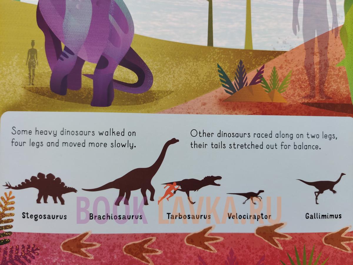 Dinosaurs: Explore, Discover, Learn – купить в интернет-магазине ...