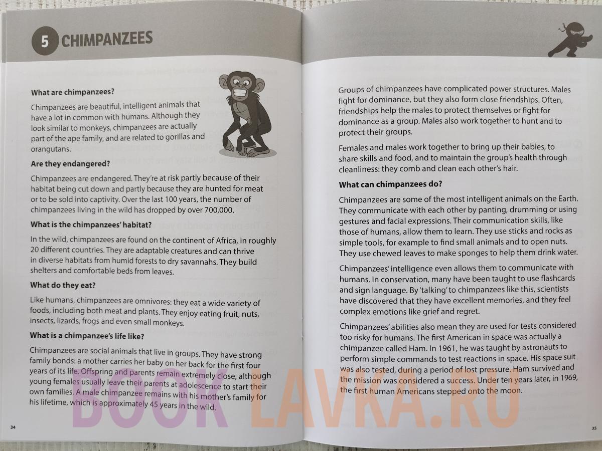Comprehension Ninja Workbook for Ages 8-9: Comprehension activities to ...