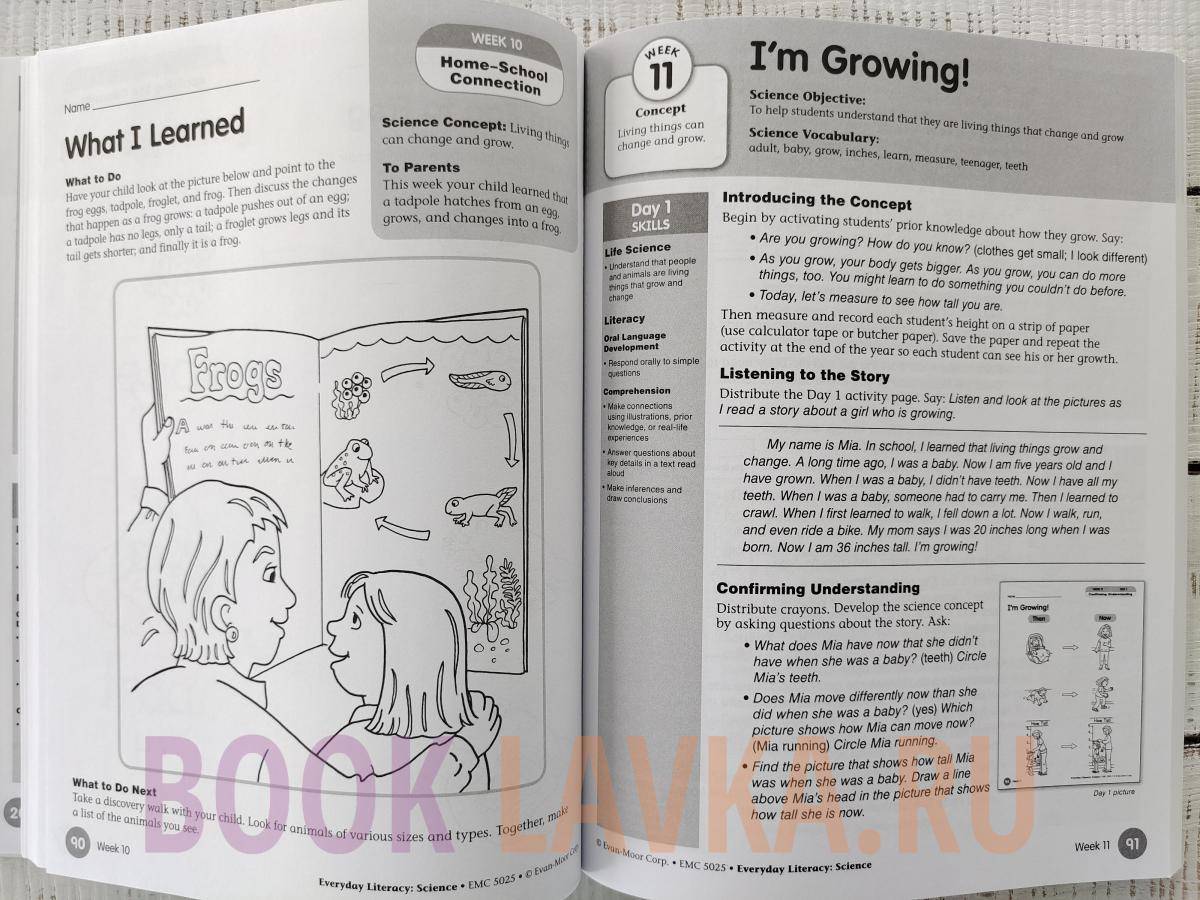 Everyday Literacy: Science, Grade K - Teacher Reproducibles | Booklavka ...