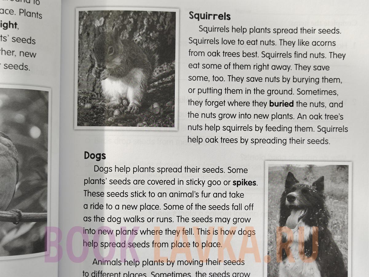 Science Lessons and Investigations, Grade 2 – купить в интернет ...