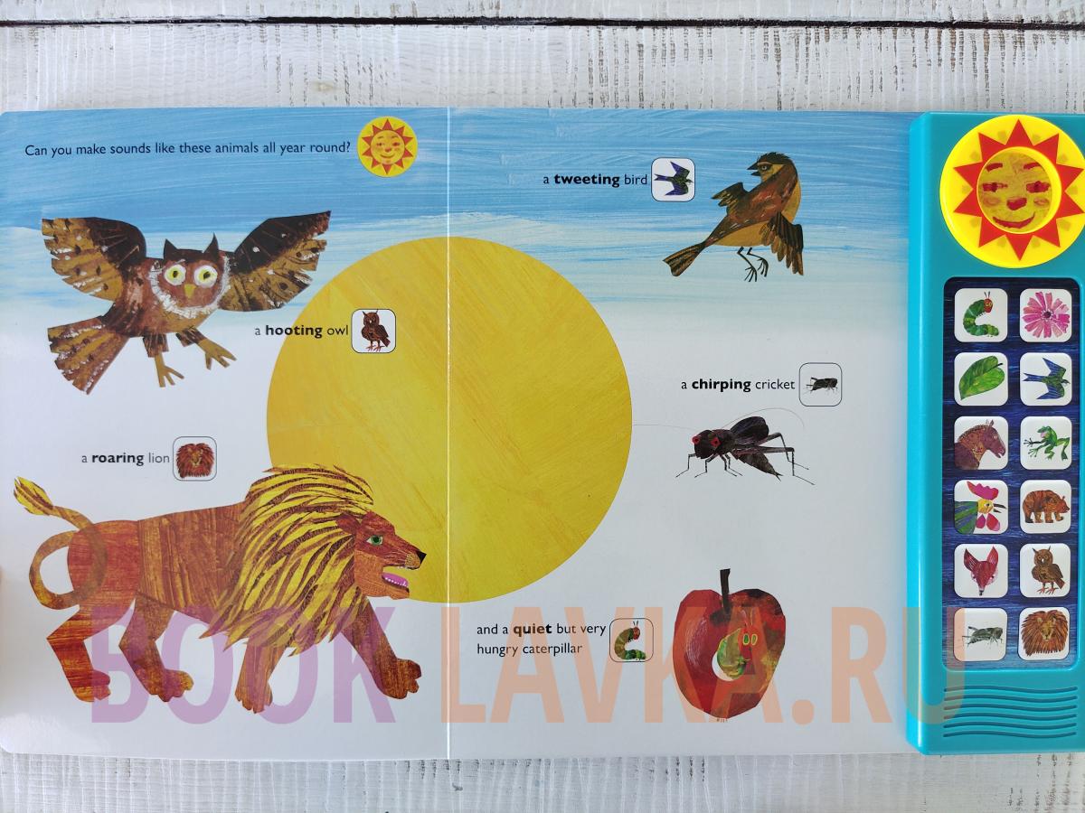 The World of Eric Carle Animals all Around – купить в интернет-магазине ...