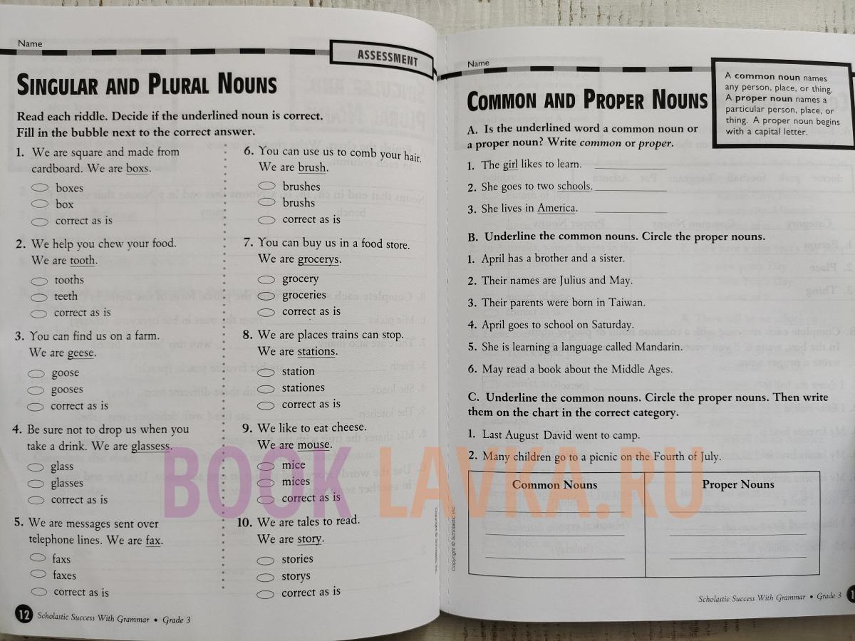 Success With Grammar Grade 3 Booklavka