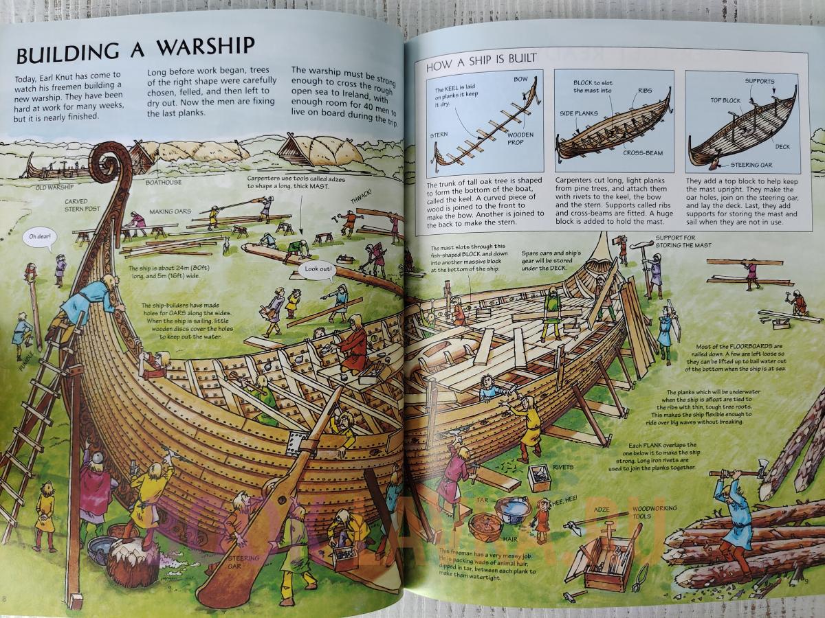 Viking Raiders – купить в интернет-магазине Booklavka (Буклавка)