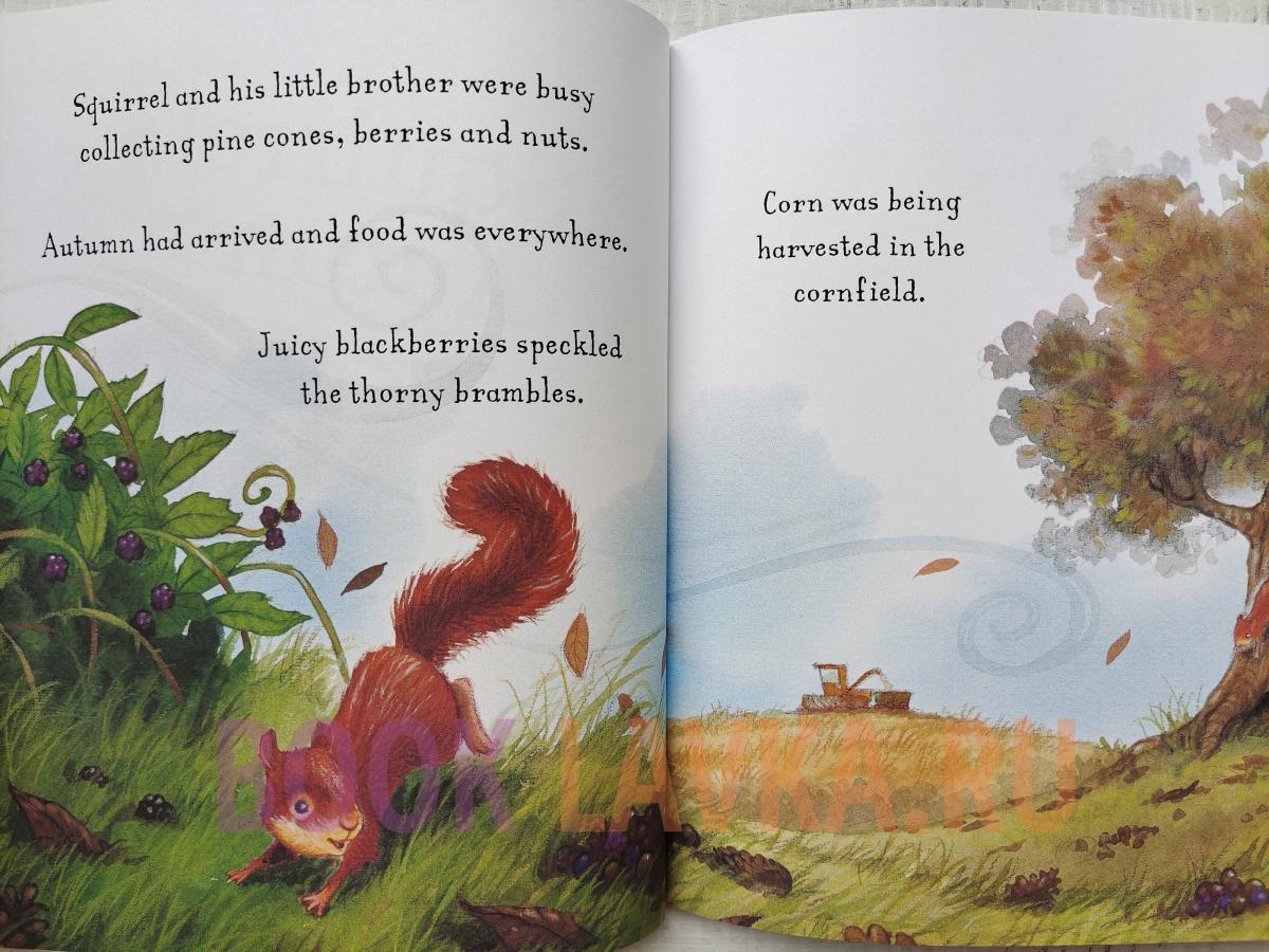 Squirrel's Autumn Search – купить в интернет-магазине Booklavka (Буклавка)