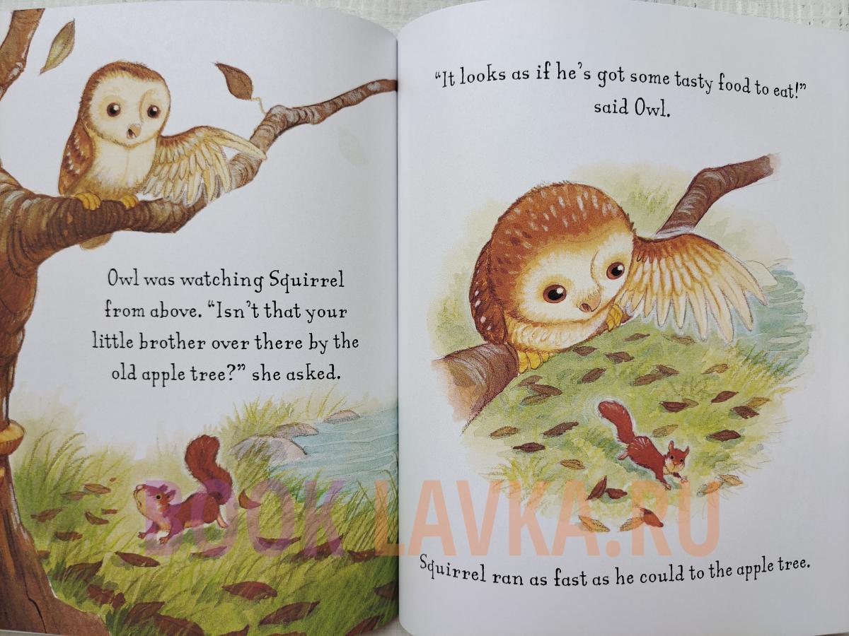 Squirrel's Autumn Search – купить в интернет-магазине Booklavka (Буклавка)