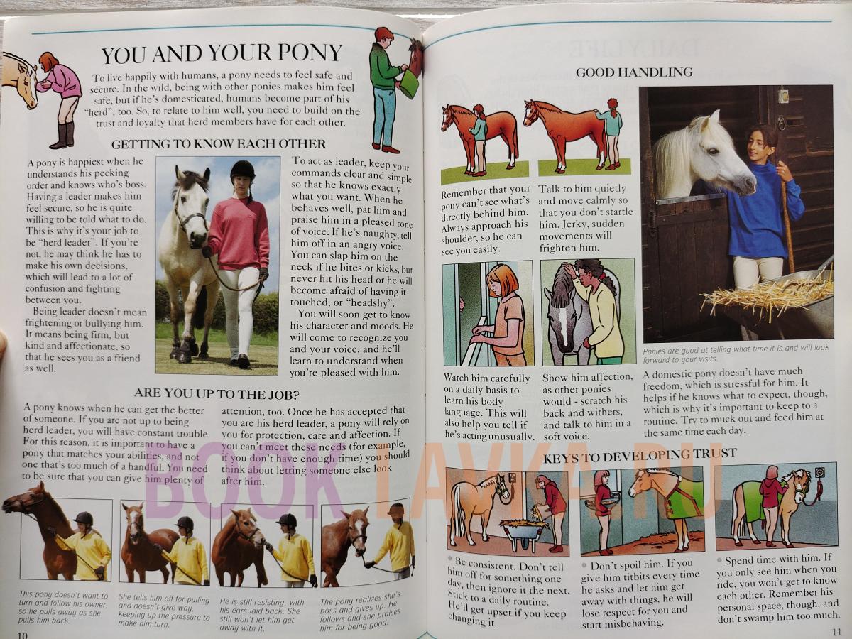 The Usborne Riding School Understanding Your Pony – купить в интернет-магазине Booklavka (Буклавка)