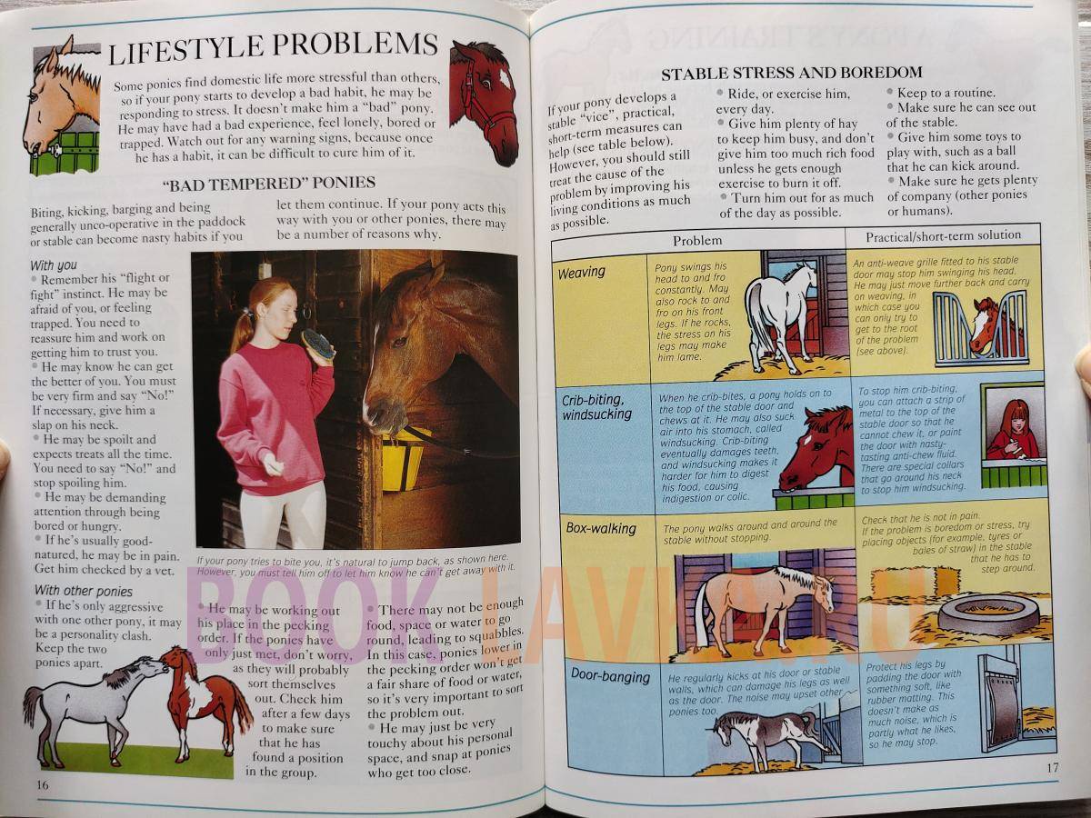 The Usborne Riding School Understanding Your Pony – купить в интернет ...