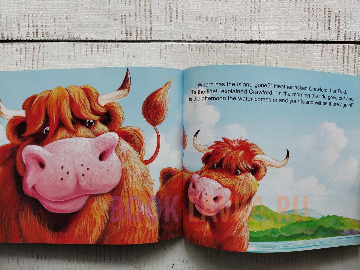 Heather the Highland Cow – купить в интернет-магазине Booklavka (Буклавка)