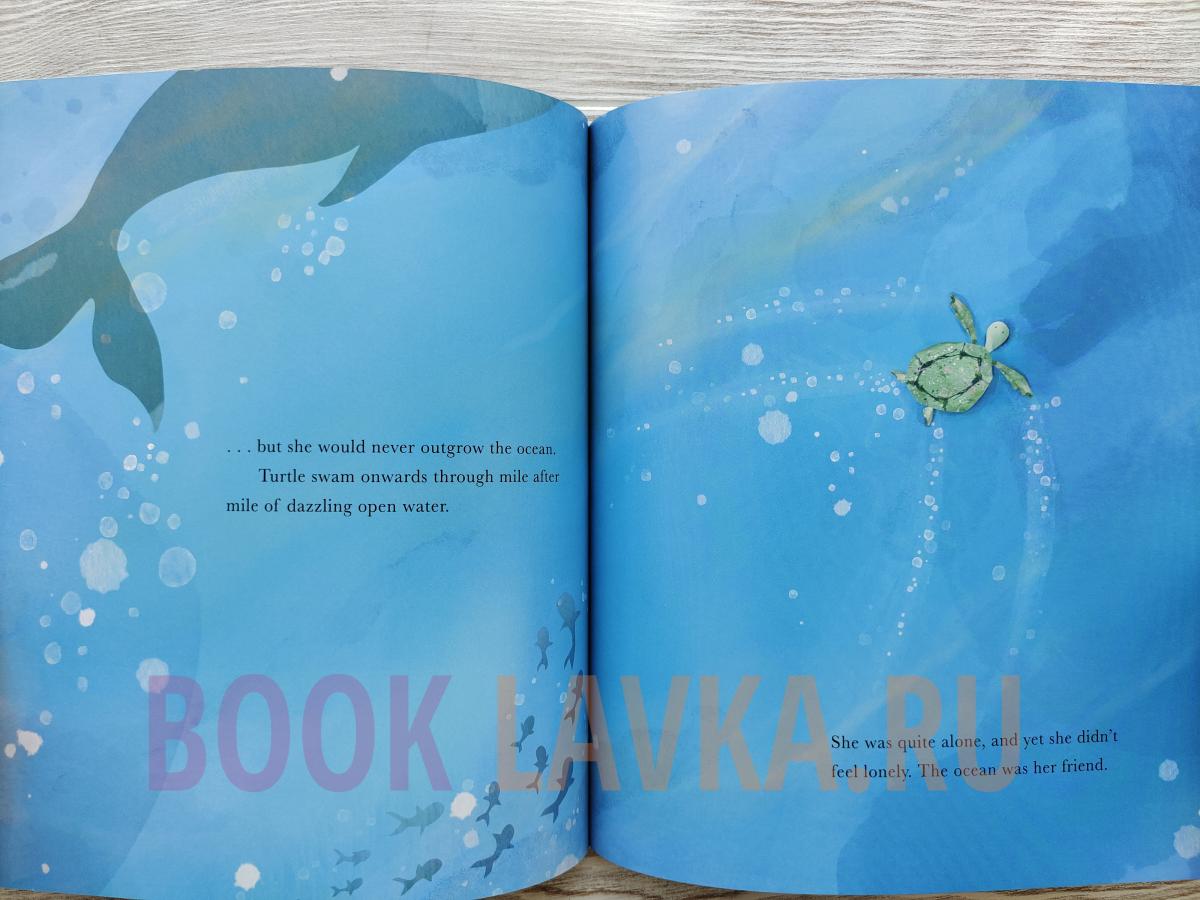 Little Turtle and the Sea – купить в интернет-магазине Booklavka (Буклавка)
