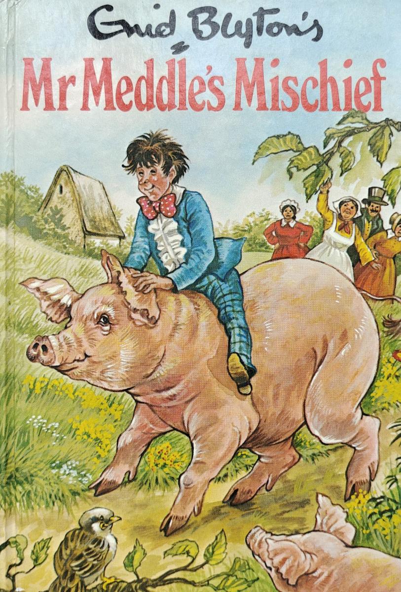 Mr. Meddle's Mischief – купить в интернет-магазине Booklavka (Буклавка)