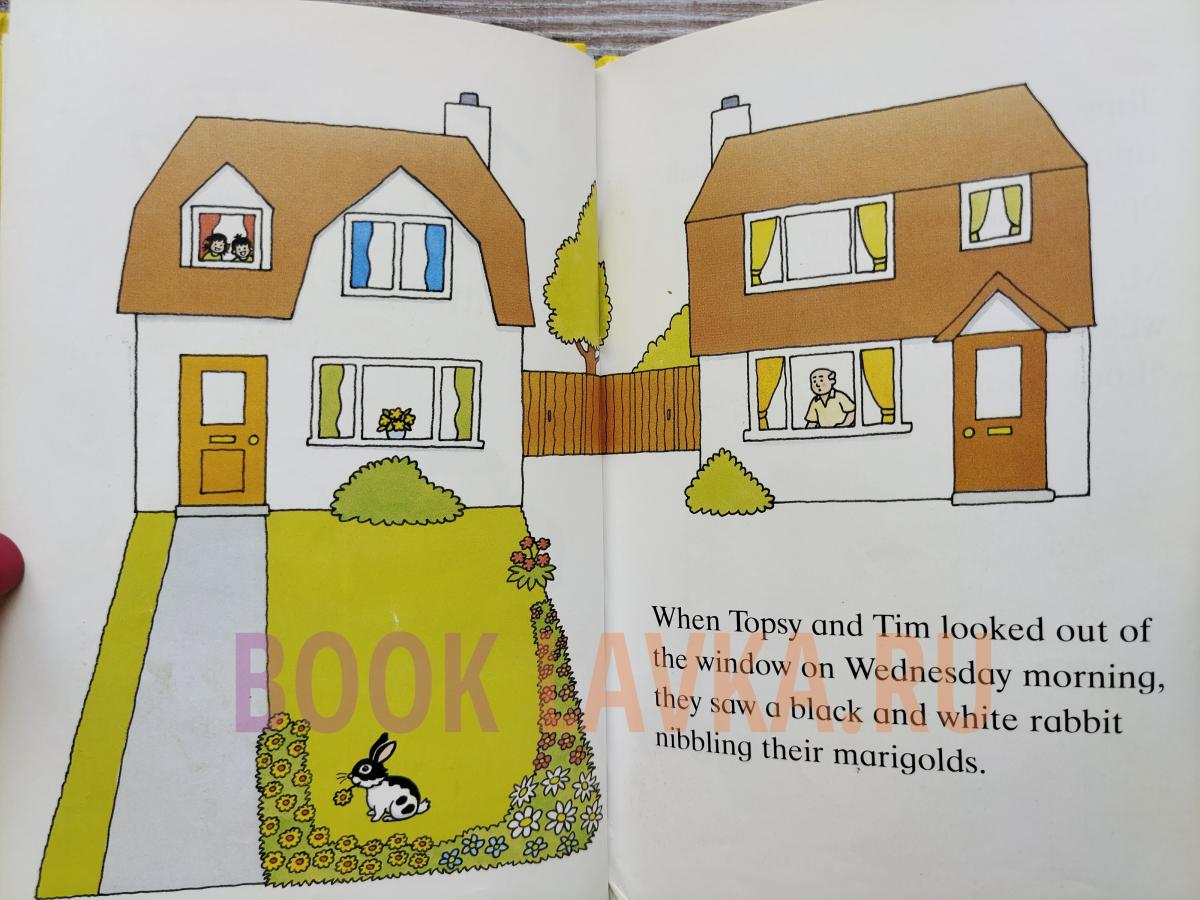 Topsy and Tim Little Lost Rabbit – купить в интернет-магазине Booklavka ...