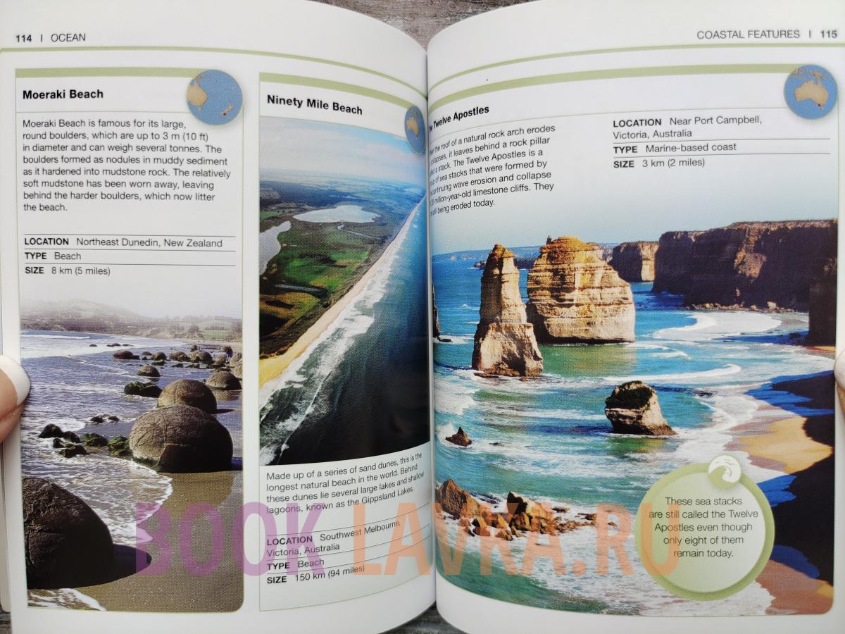 Pocket Eyewitness Earth: Facts at Your Fingertips – купить в интернет ...