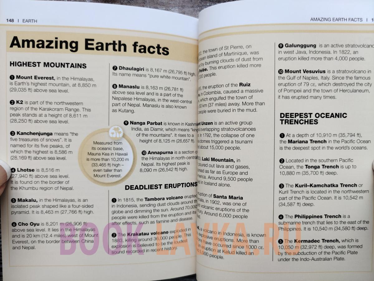 Pocket Eyewitness Earth: Facts at Your Fingertips – купить в интернет ...
