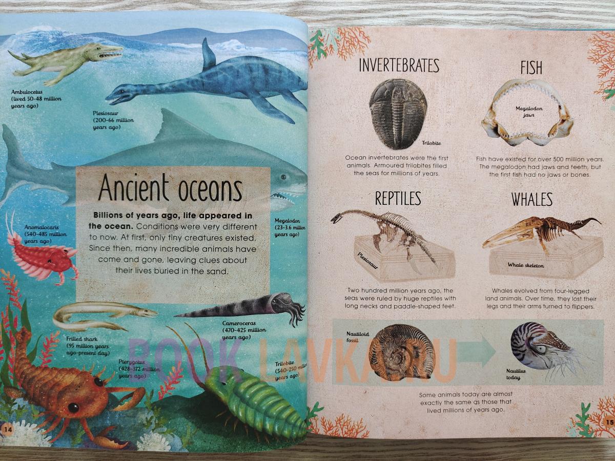 Earth's Incredible Oceans – купить в интернет-магазине Booklavka (Буклавка)
