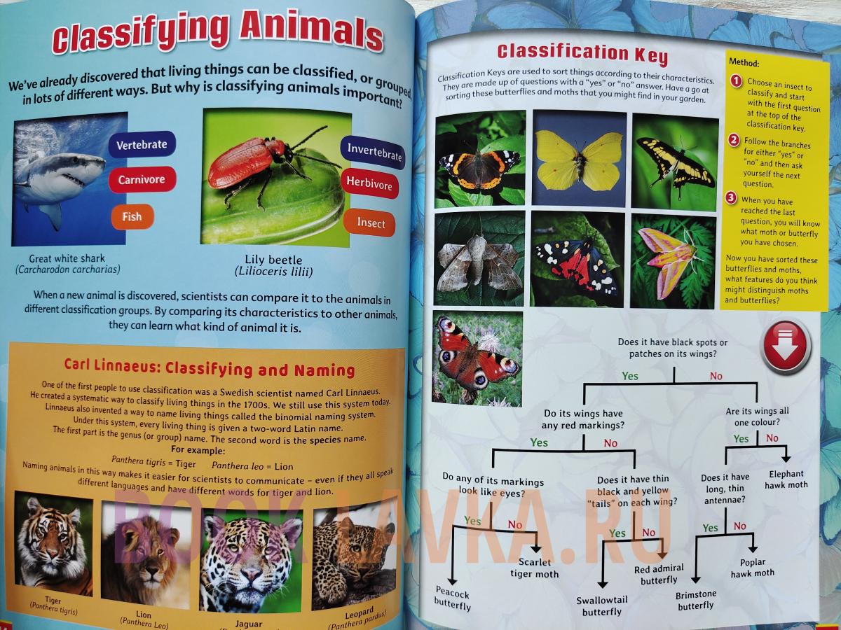 Let's Investigate Science 10 Books (China) – купить в интернет-магазине ...