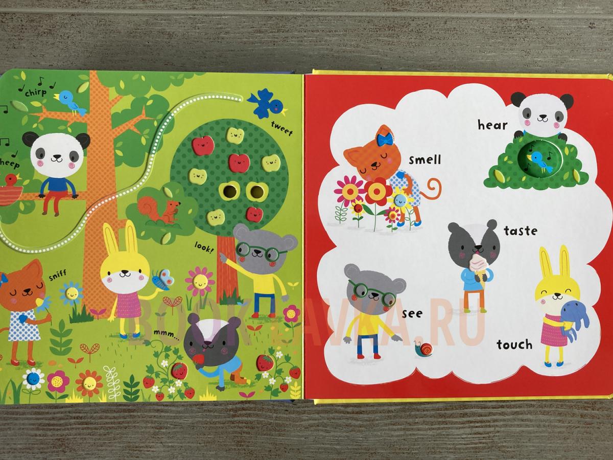 Baby's Very First Playbook Body Words – купить в интернет-магазине ...